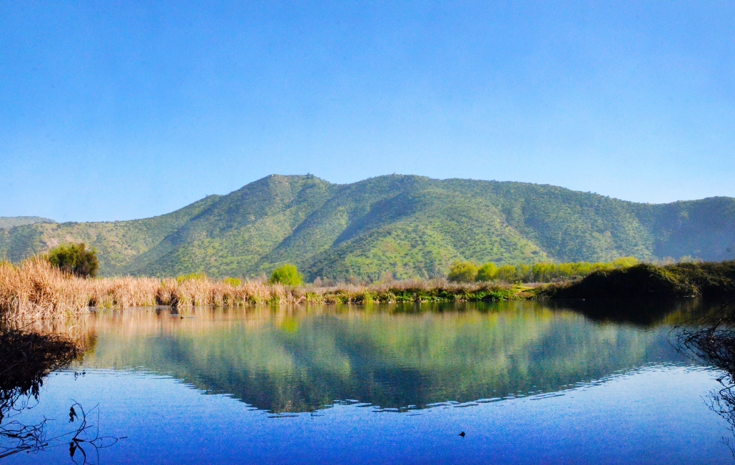 PARQUE EL TRAPICHE – Municipalidad de Peñaflor