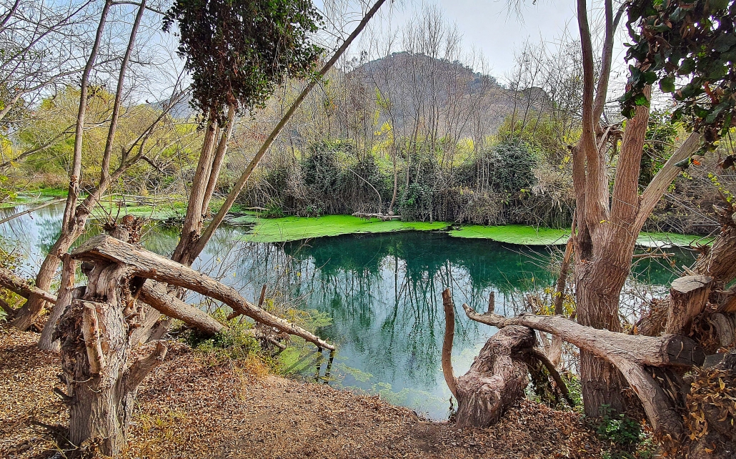 Parque El Trapiche será destino turístico accesible para los Juegos ...